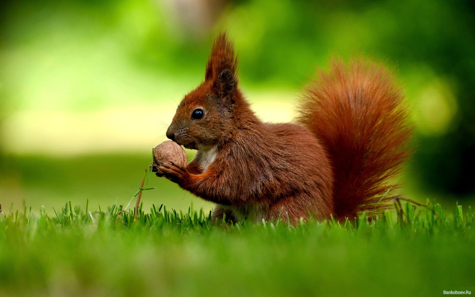Science Blog - 5th Year: Principal Characteristics of Living Things