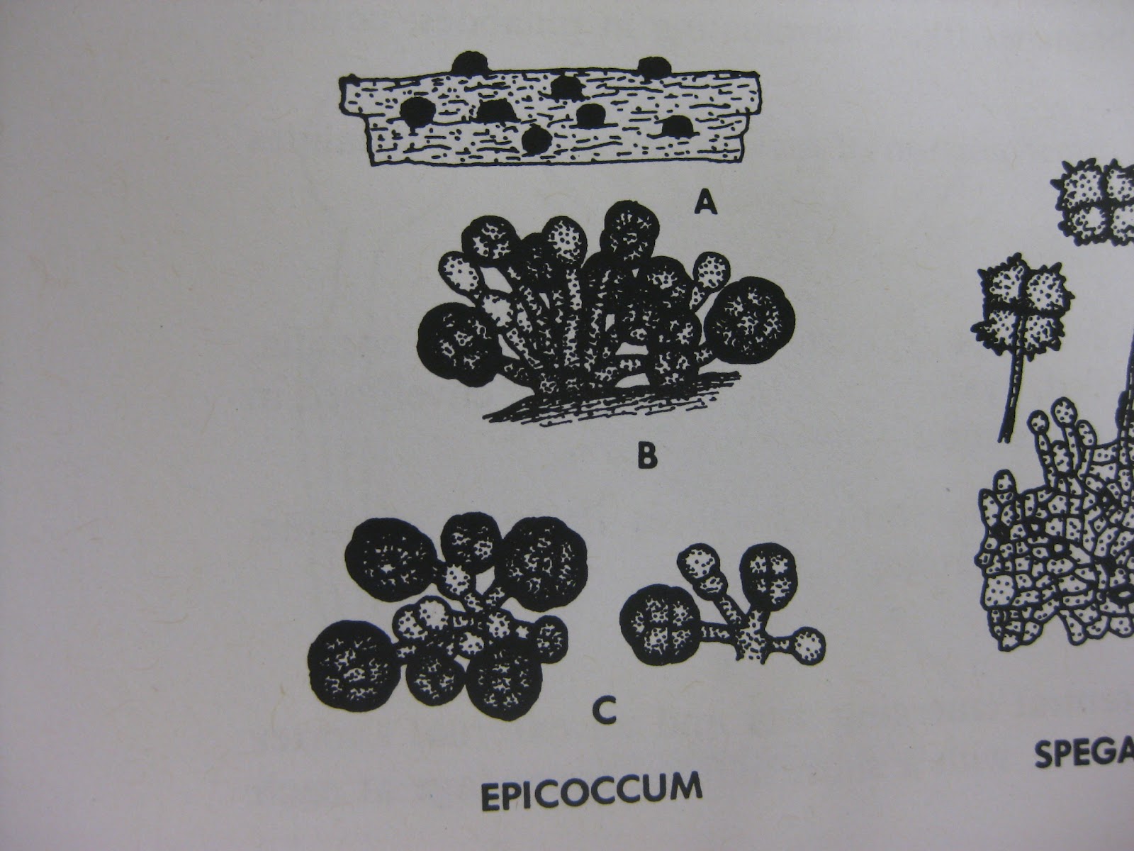 Charity Owings' PLPA 631 Blog: Lab 5