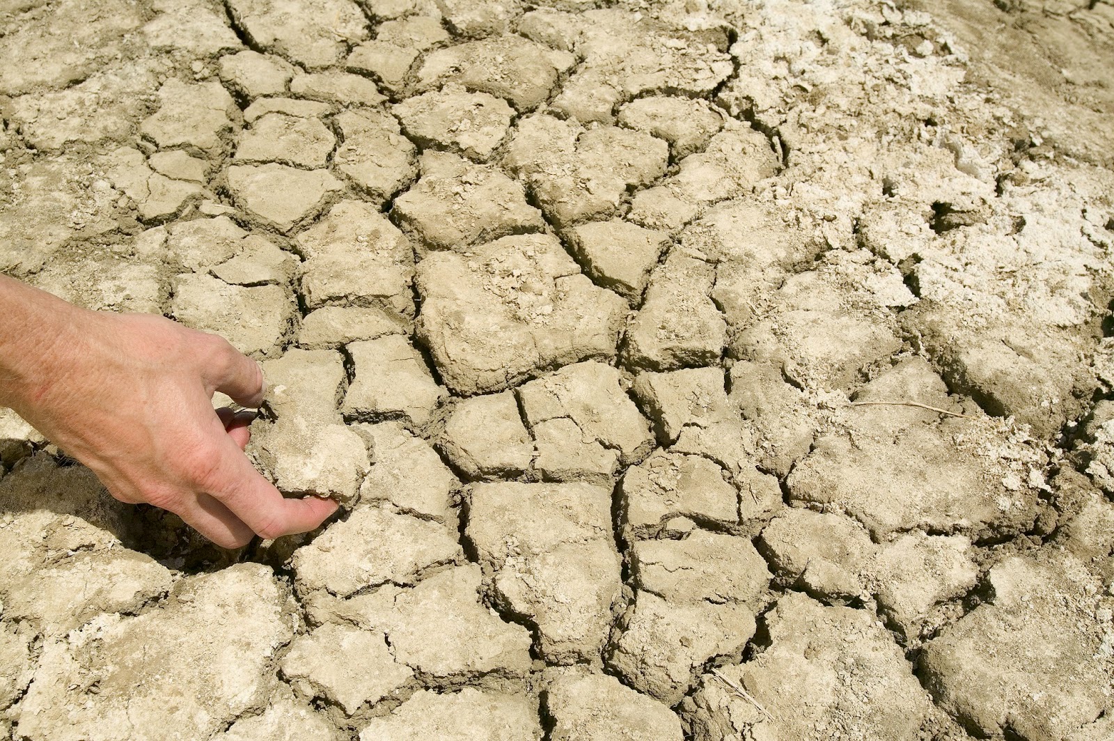 Construction. Pages: Masalah Tanah Ekspansif (Expansive Soil)