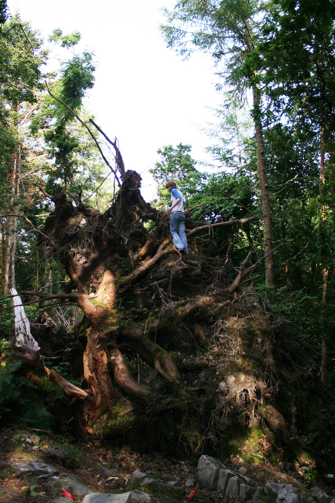 The Palace of Heavenly Pleasure: Three Become One