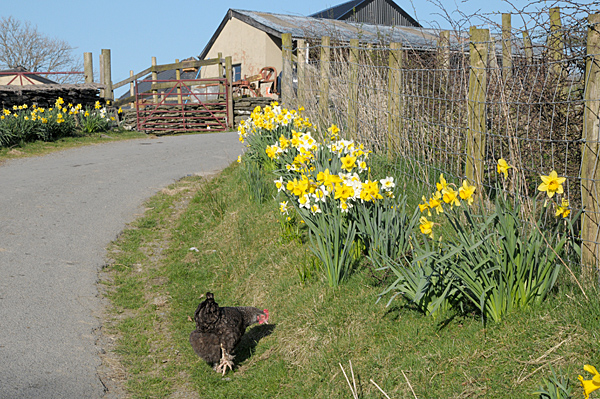 A bit more of Karen: My Welsh holiday with my best friend - Part 2