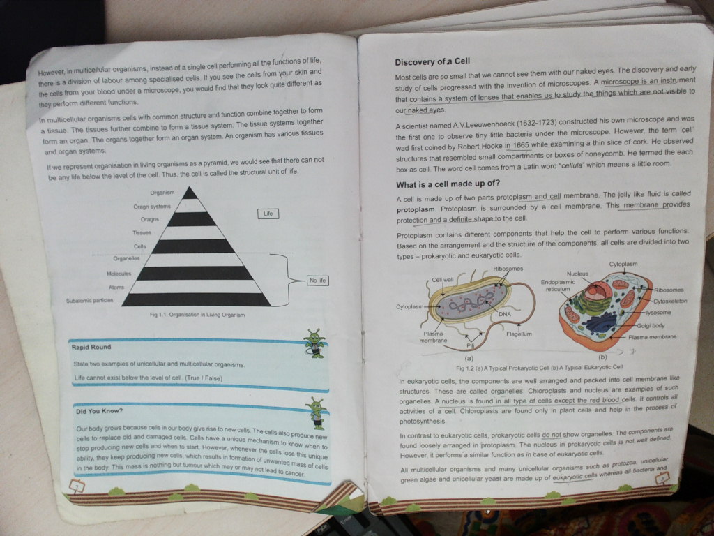 PIS VADODARA STD 7: SCIENCE CH-1 CELLS-THE BUILDING BLOCKS OF LIFE T.B ...