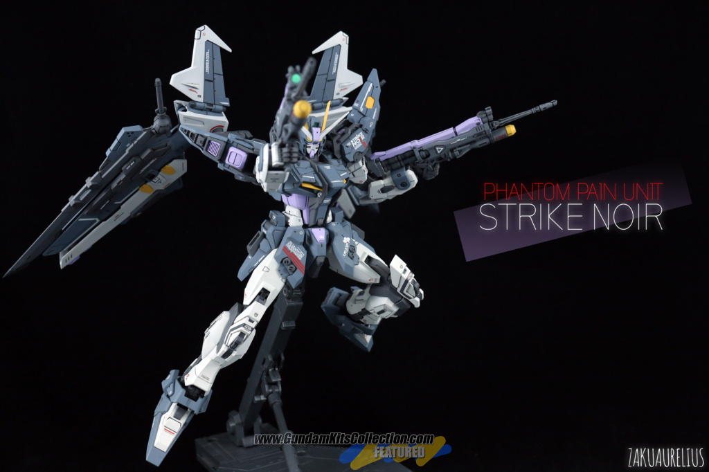 Painted Build: DM 1/100 Strike Noir