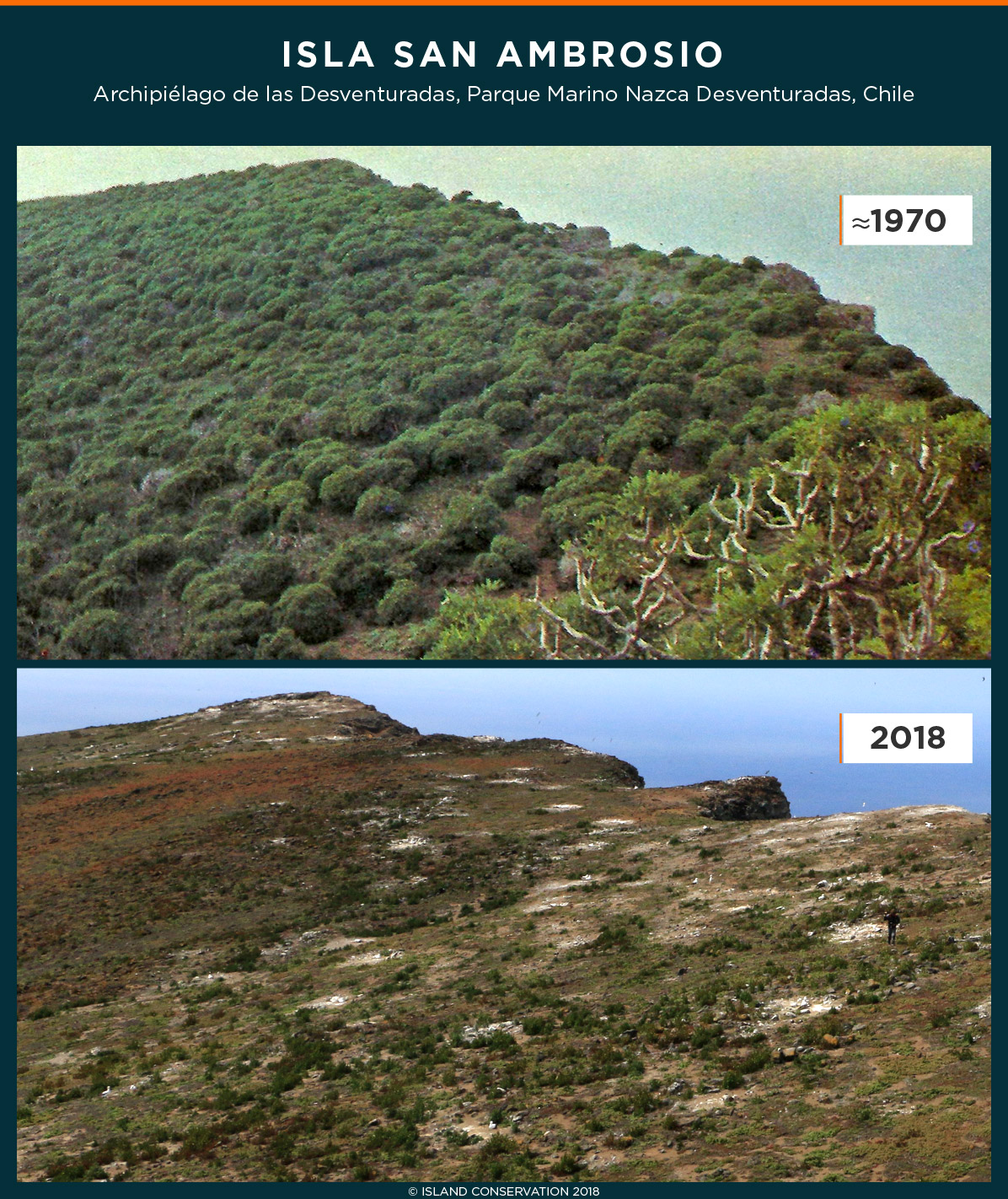 Caminantes del Desierto: LAS ISLAS DESVENTURADAS