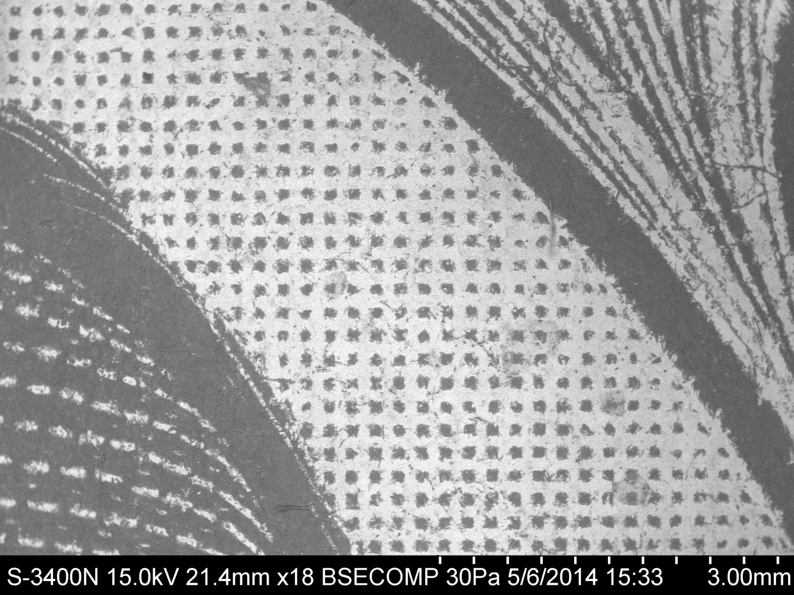 Scanning Electron Microscope Blog: Electron Microscopy and George ...