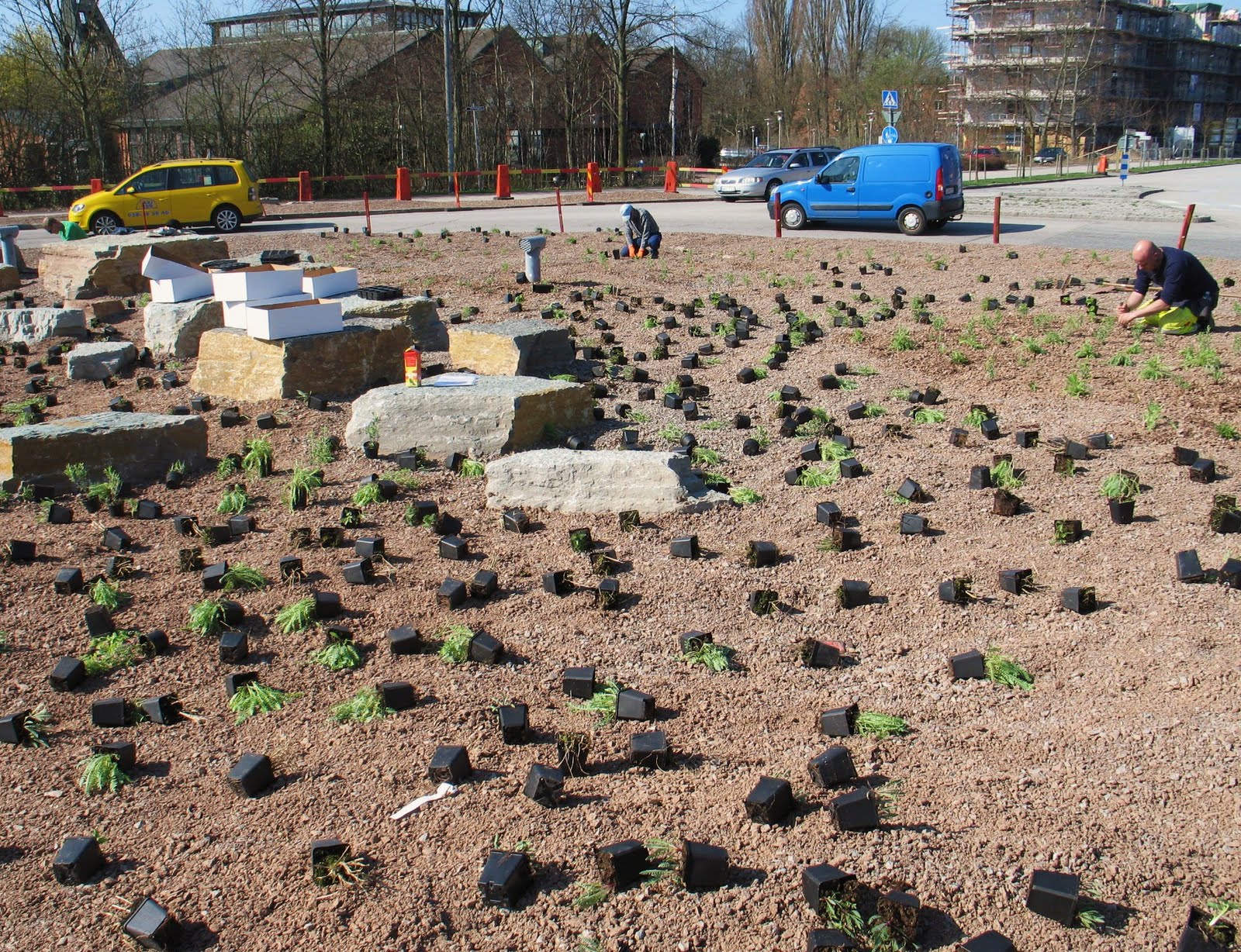 Biotope Design: Planting the steppe roundabout