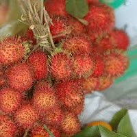 Khasiat buah Rambutan | Manfaat buah Rambutan - Cara Membuat Jus