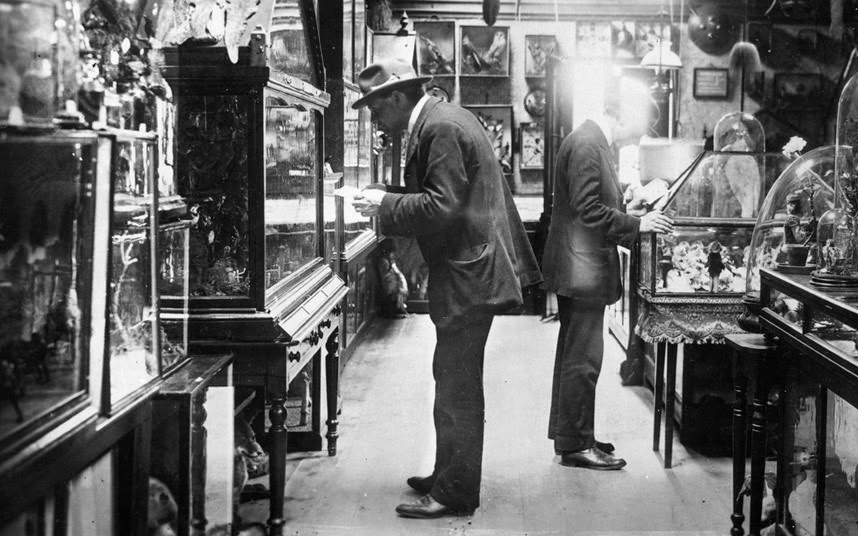 MARTIN CROWN ARCHIVES: WALTER POTTER TAXIDERMY