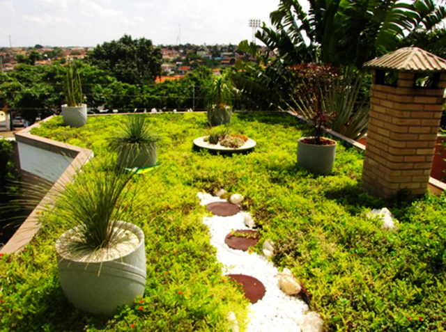 RW PAISAGISMO: KNOW-HOW: COMO PLANEJAR UM TETO VERDE