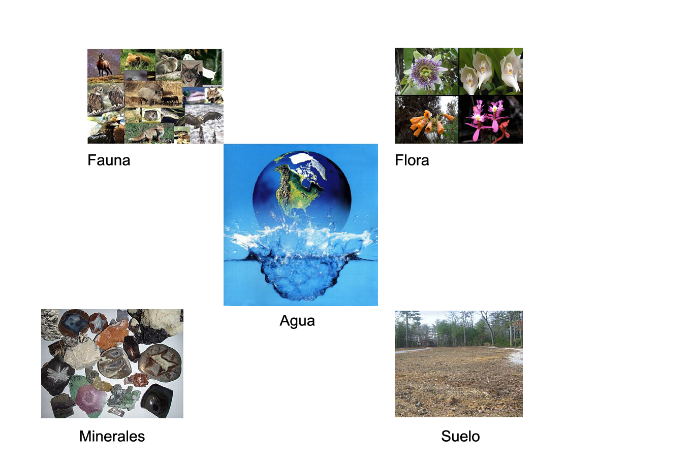 Los Recursos Naturales: LOS RECURSOS NATURALES