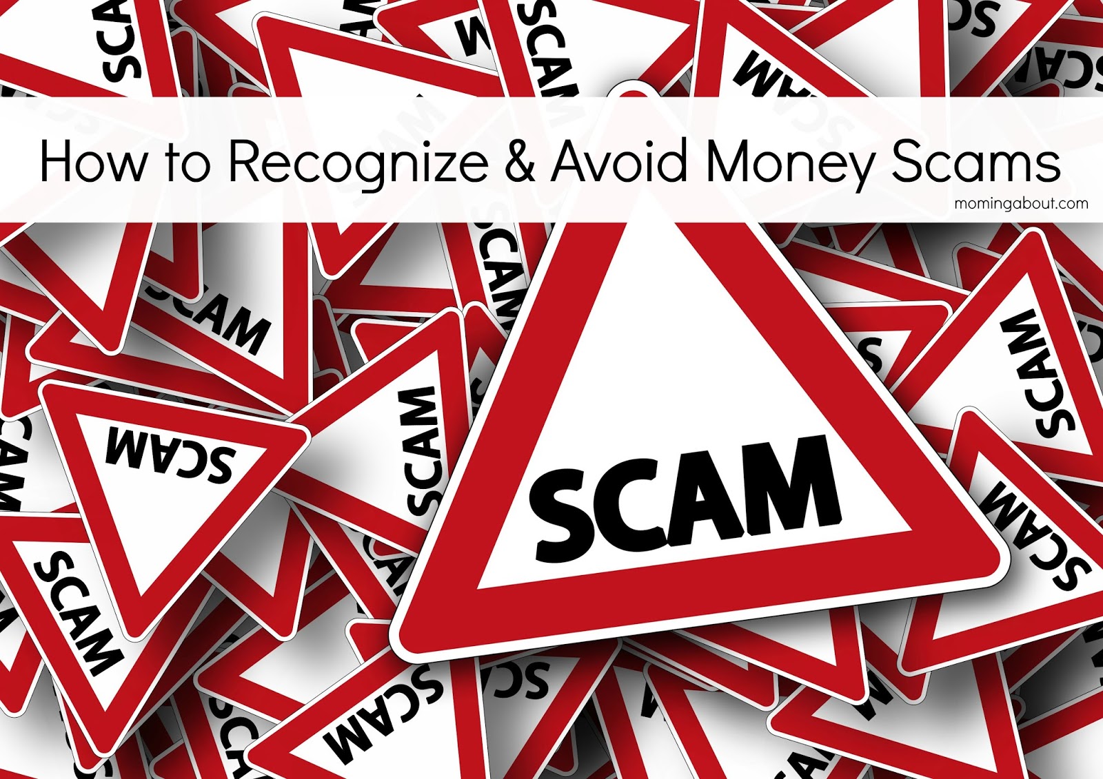 Moming About: How to Recognize a Money Scam
