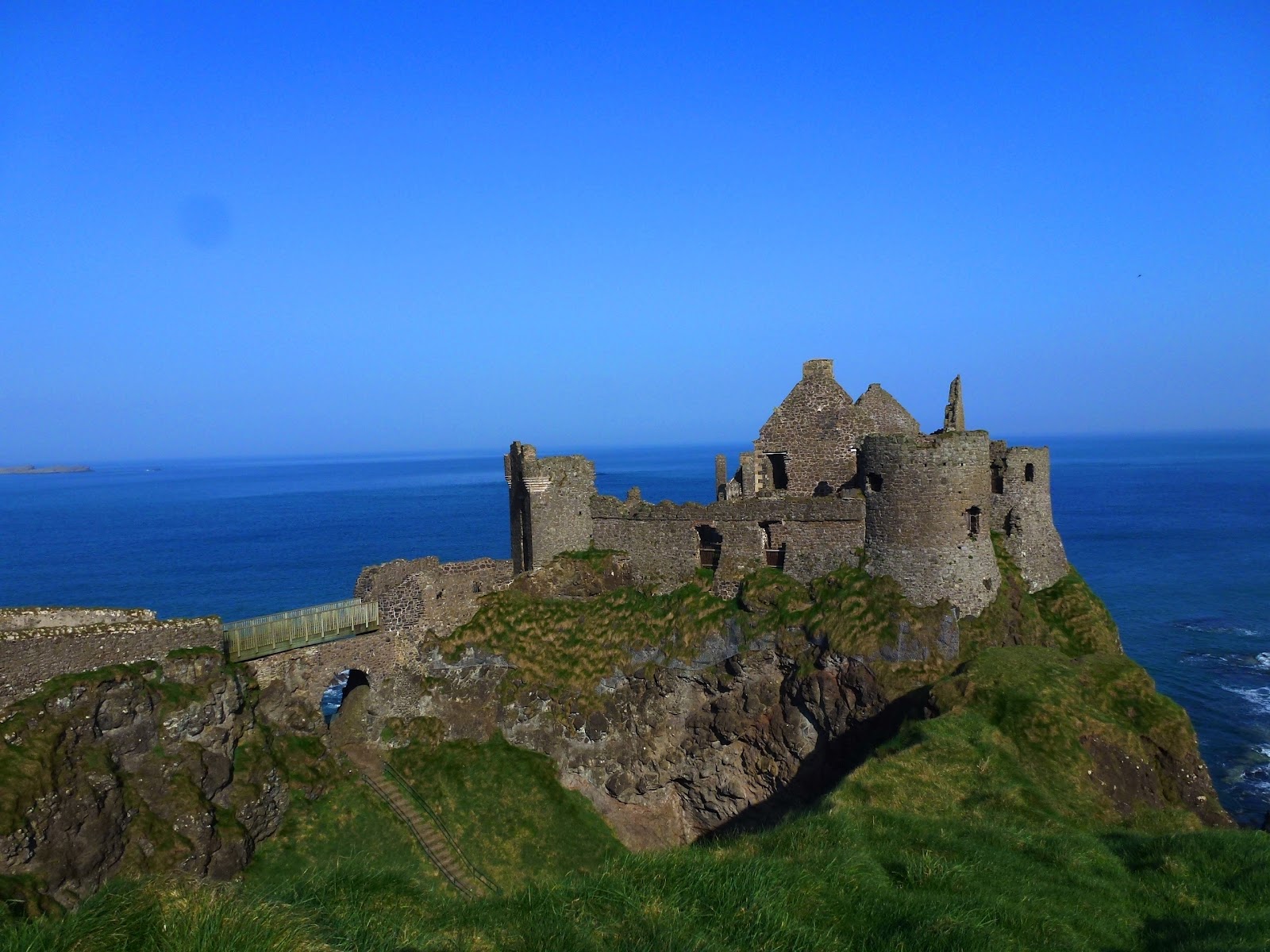 Paddy's Wagon: A Giant with a Cause