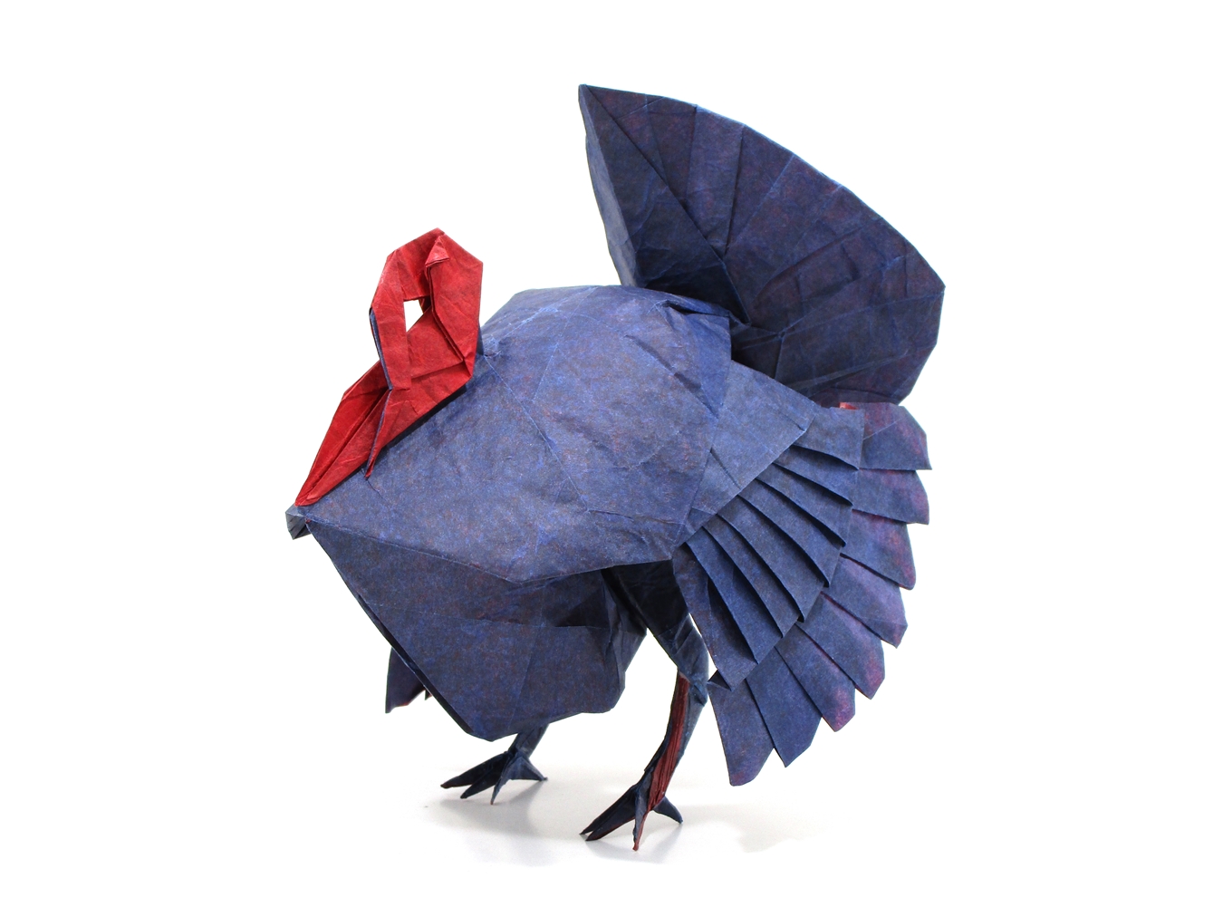 Mariano-Mi mundo el Origami: Turkey in Full Display