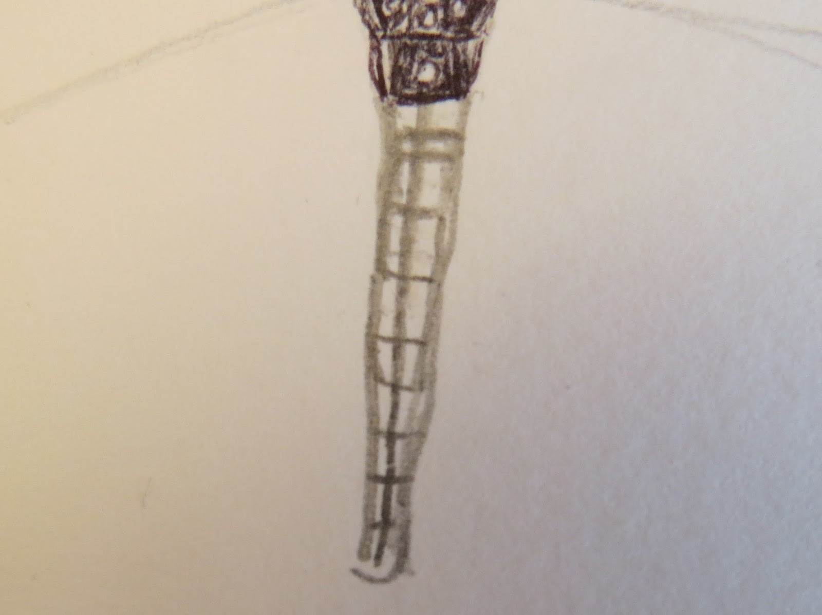 The Autistic Naturalist: How To Draw: Dragonflies and Damselflies