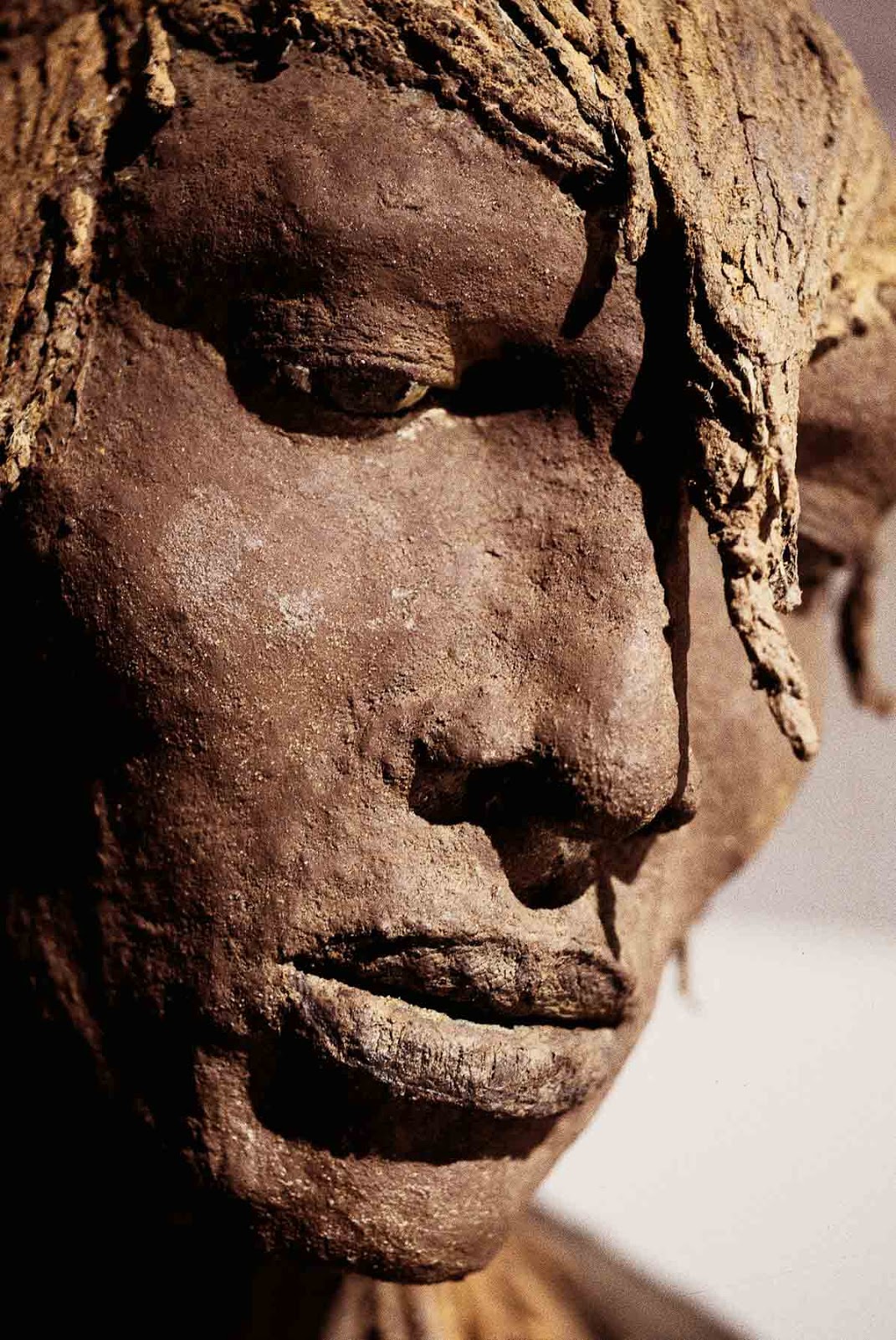 Vie et Oeuvres de Ousmane Sow