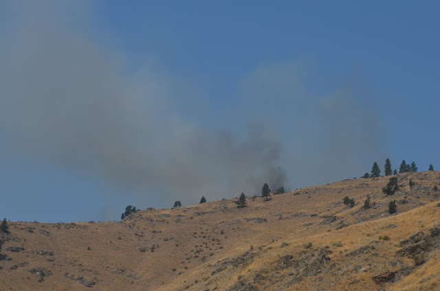 Rambling Rayna: Fruit, Fires & Forests