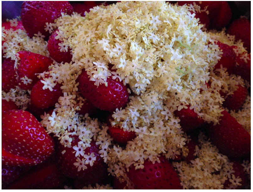 love from the bay: strawberry & elderflower jam