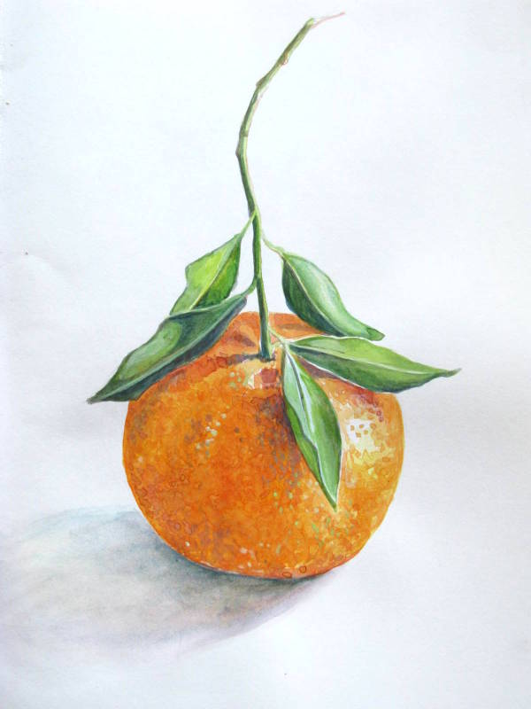 Botanical Sketches and Other Stories: Dreams