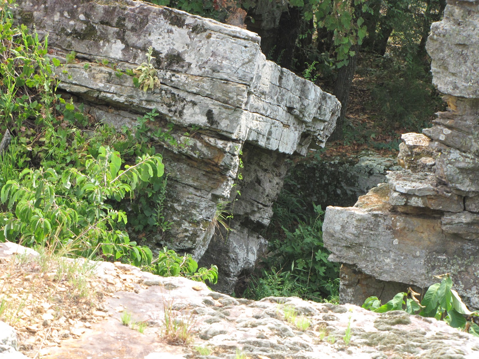 Granny Mountain: Pea Ridge National Military Park