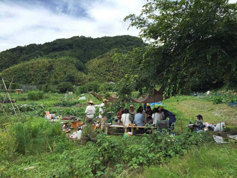 ヨガ・セラピー・アオソラ yogic. therapy .aosora 横須賀