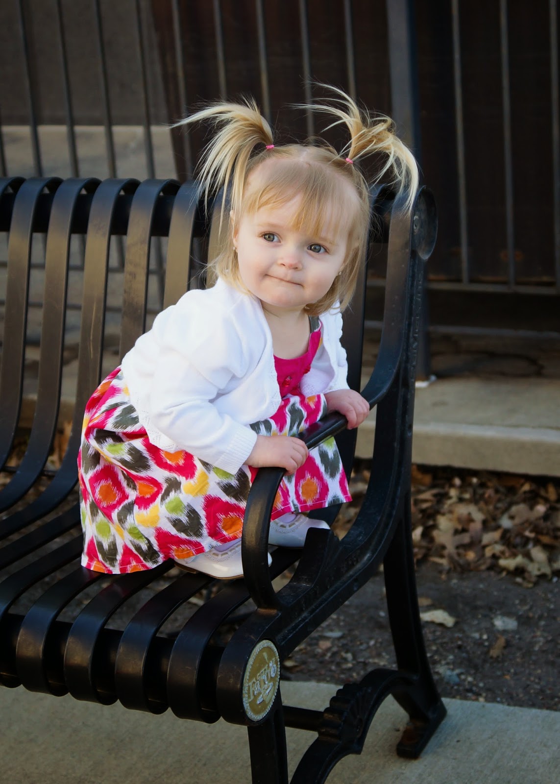 Nikki Fischer-Buchholz Photography