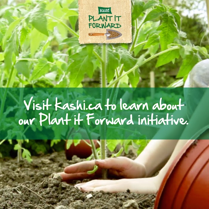 Torviewtoronto: Kashi #PlantitForward Initiative Building Community Gardens