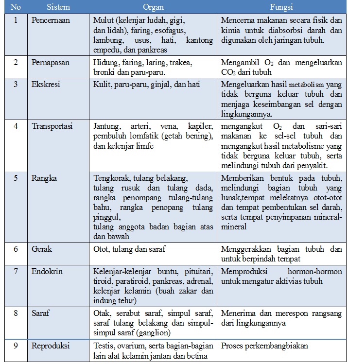 Nr C Sistem Organ