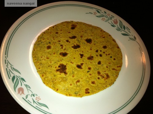 Masala Whole Wheat-Soy Roti
