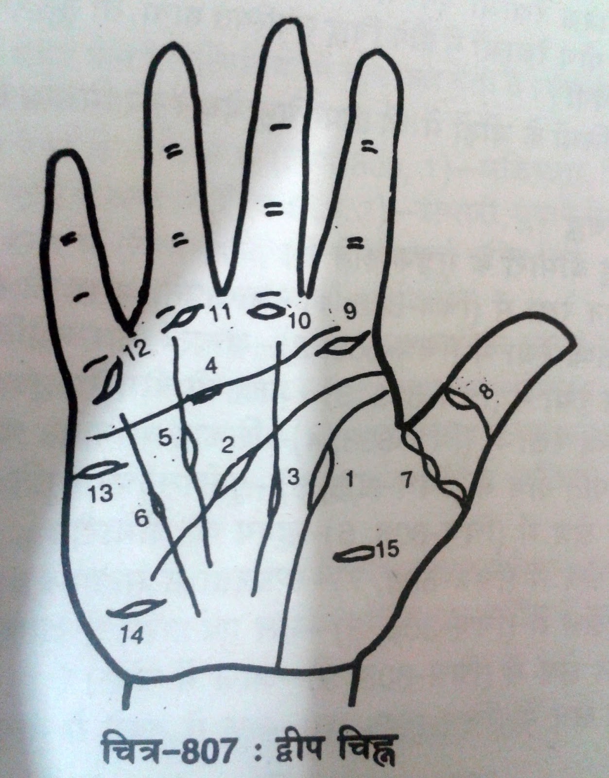 Indian Palmistry Signs (Hast Chinha) | Hast Rekha Gyan ~ INDIAN ...