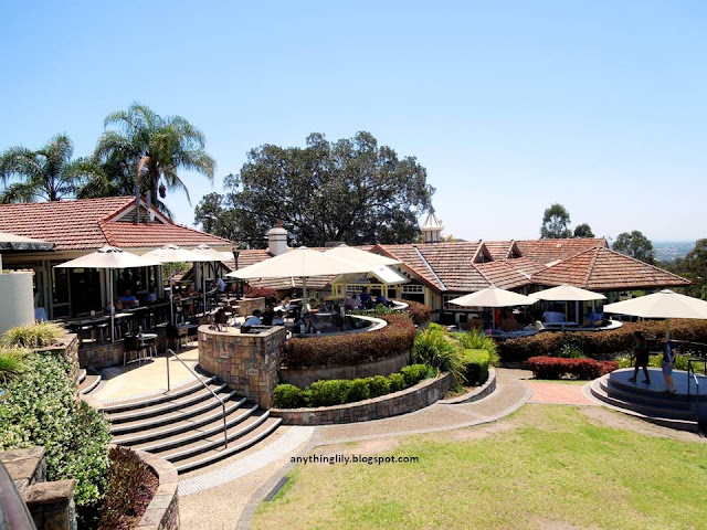 anythinglily: Brisbane City Tour Pt 3: Mount Coot-tha