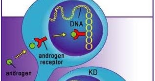 Living with Kennedy's Disease: Kennedy's Disease and elevated CPK
