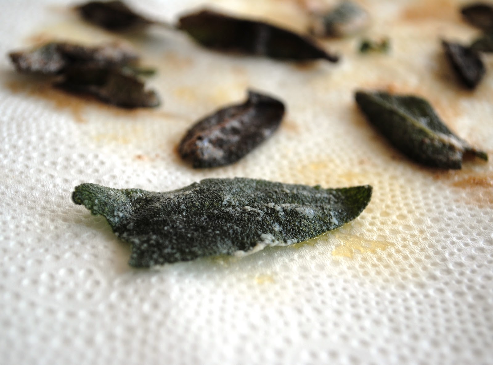 In a village called Segur le Chateau....: Ricotta Gnudi with Brown ...