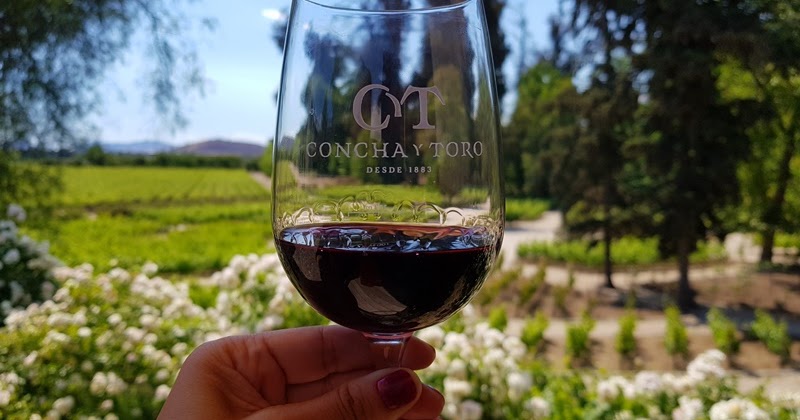 Tem que ir: Concha y Toro: conheça a maior e mais famosa vinícola do Chile