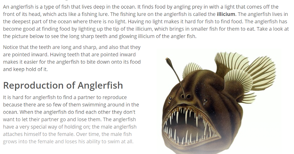 The English, Natural Science, Social Science and Arts Blog: Week of 4th ...