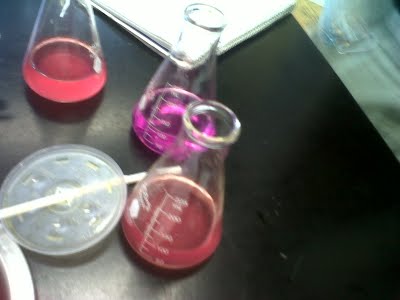 quimica: Reaccion de Neutralizacion