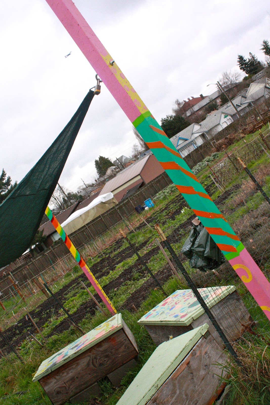 Washington Food Coalition News: Meet Our Members: Marra Farm's Giving ...