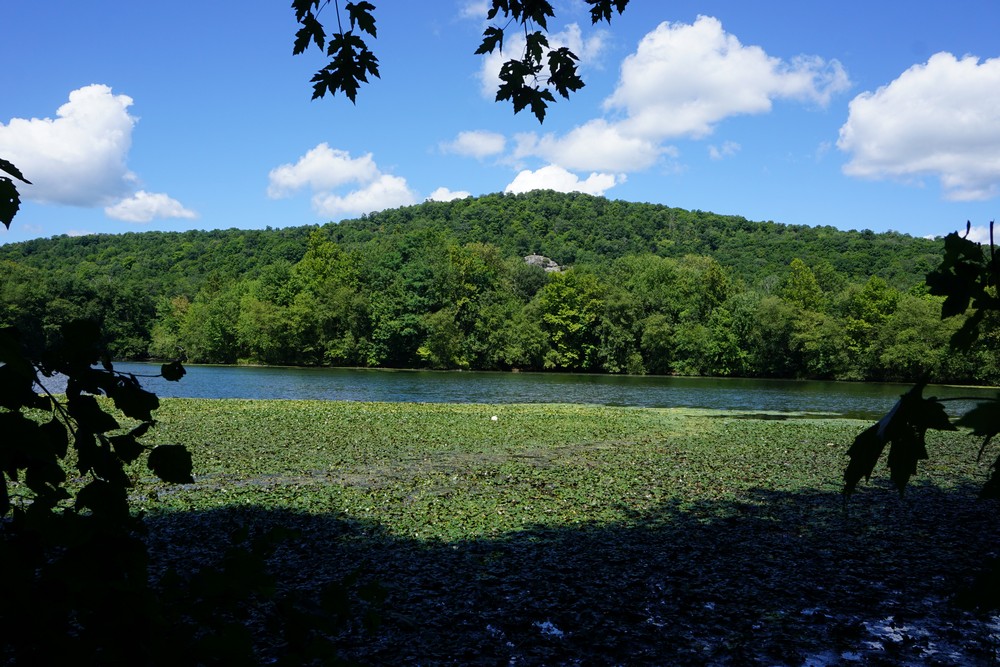 Harriman Hiker: Harriman State Park and Beyond: Lake Henry Loop