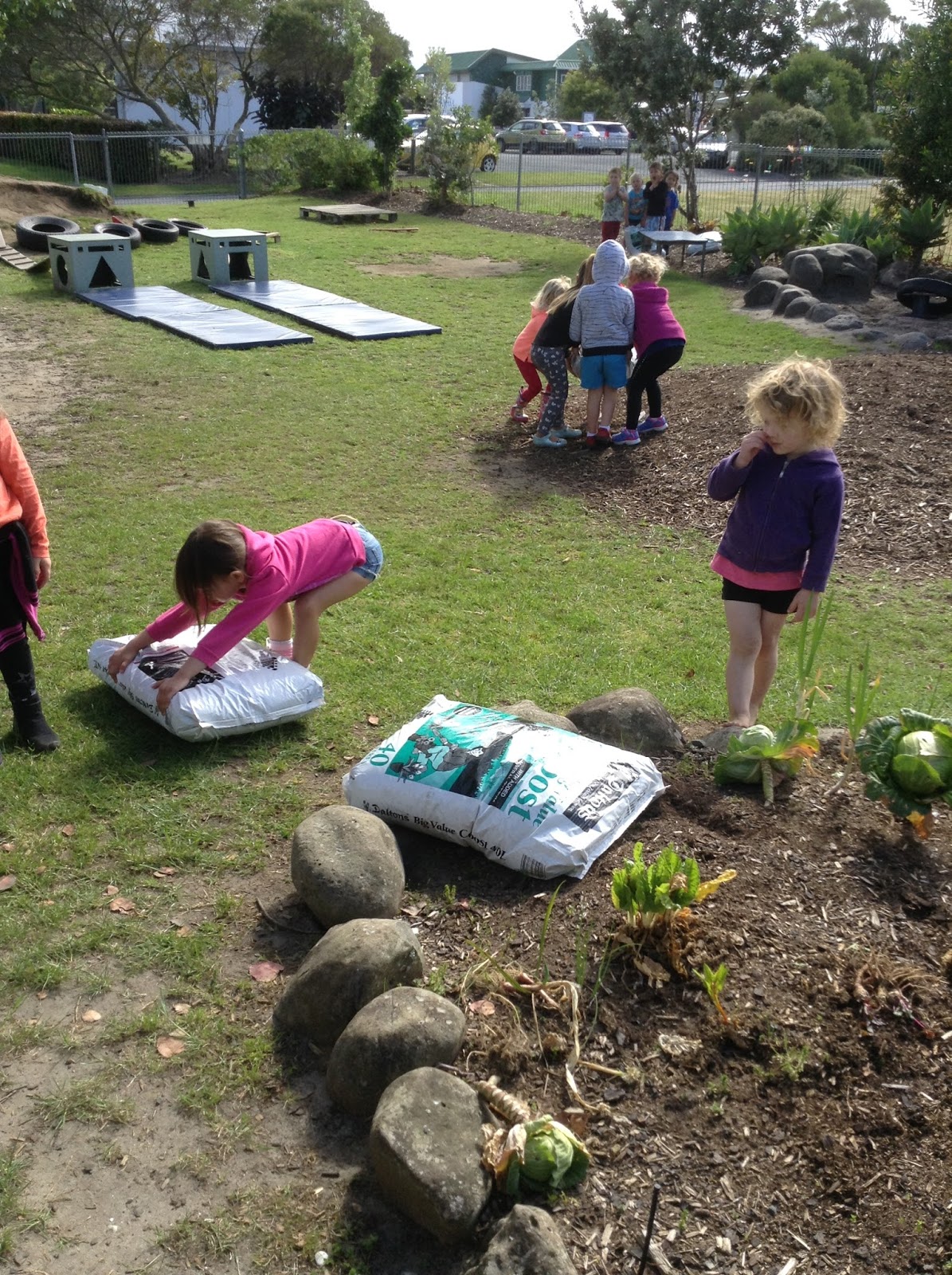 Bream Bay Kindergarten: Gardening...popular with the young crowd