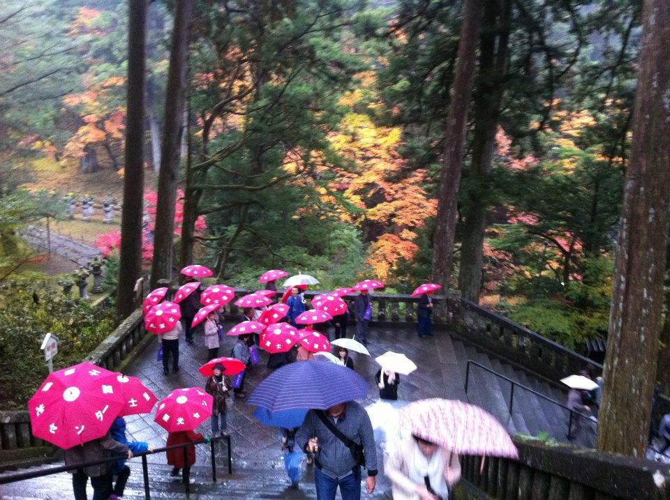Ten Thousand Things: Late Autumn in Nikko