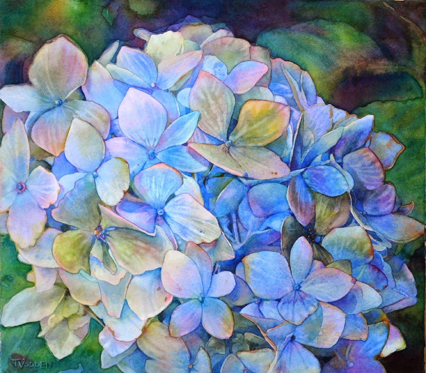 🇺🇸 Jeannie Vodden