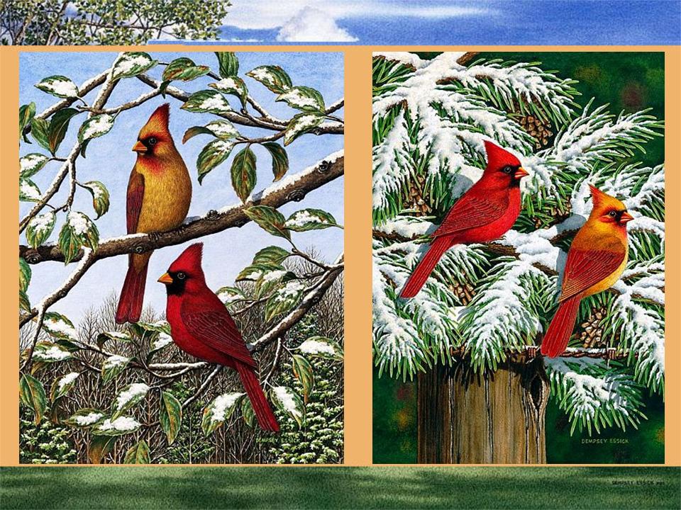 Soloillustratori: Dempsey Essick