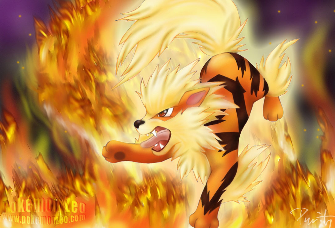 Pokemon Ruby Pokedex: Fire Pokemon