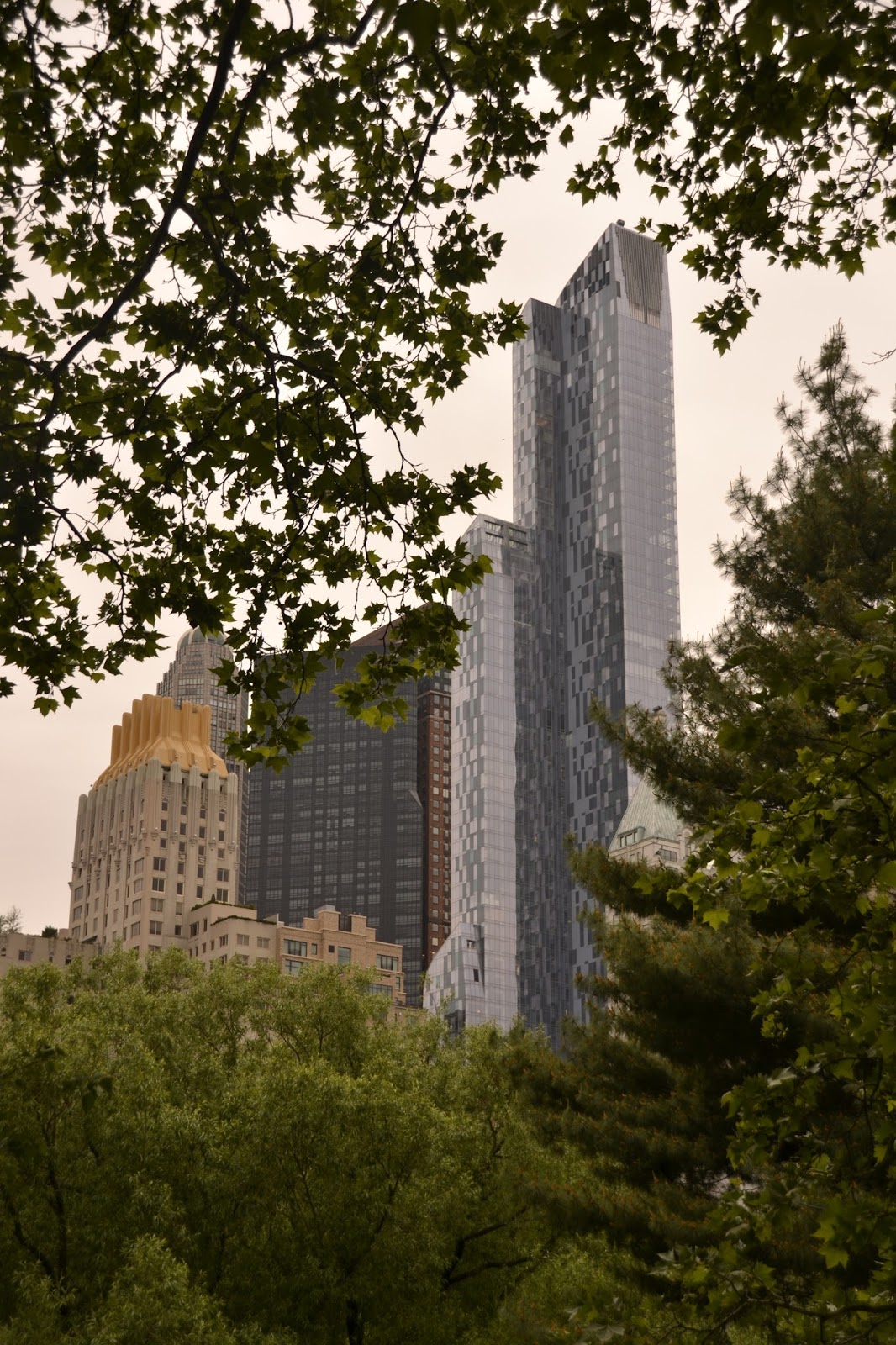 photo mojo: Buildings through the Trees