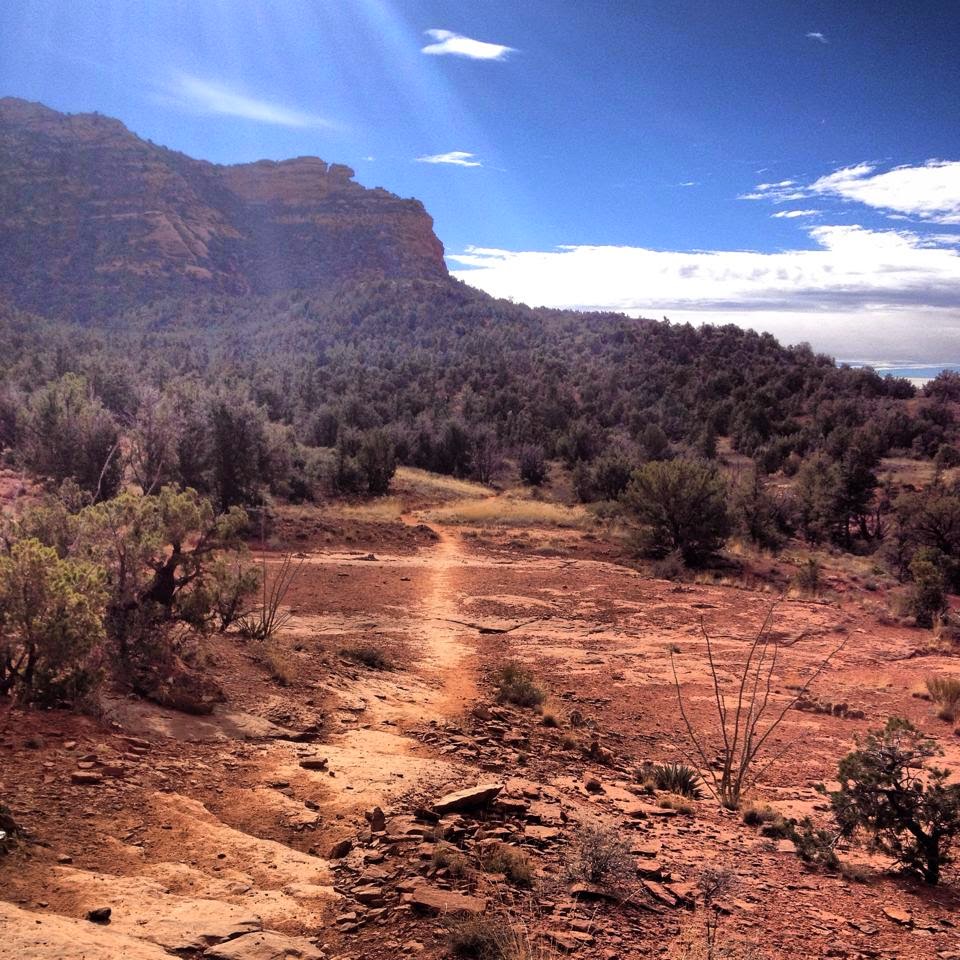 Palm Tree Gypsy: Red Rocks....rock