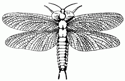 Lists of the Bizarre, Intriguing, and Informative: 10 Earliest ...