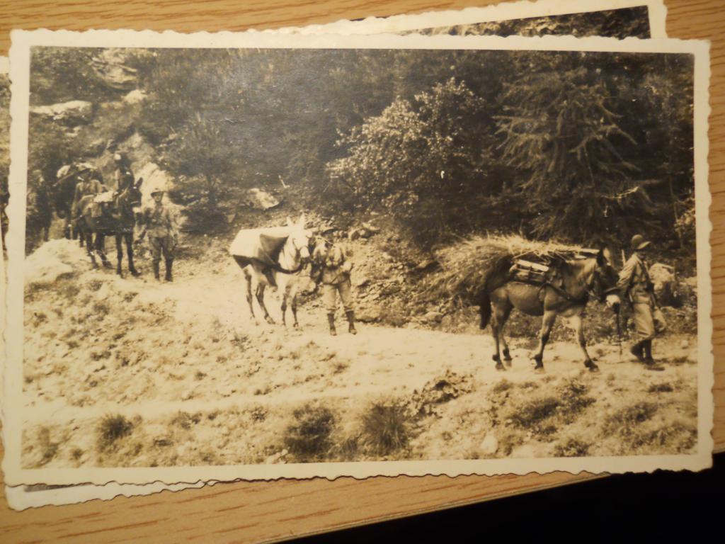WW2 Militaria Collection: Italian ww2 Alpini soldiers 7x photographs ...
