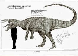 Espinossaurídeos : Cristatusaurus