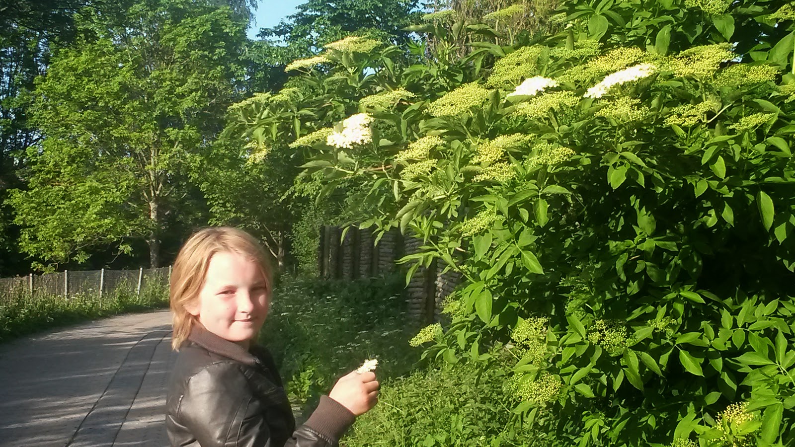 Maríustakkur: Yllir blóm og pönnukökur