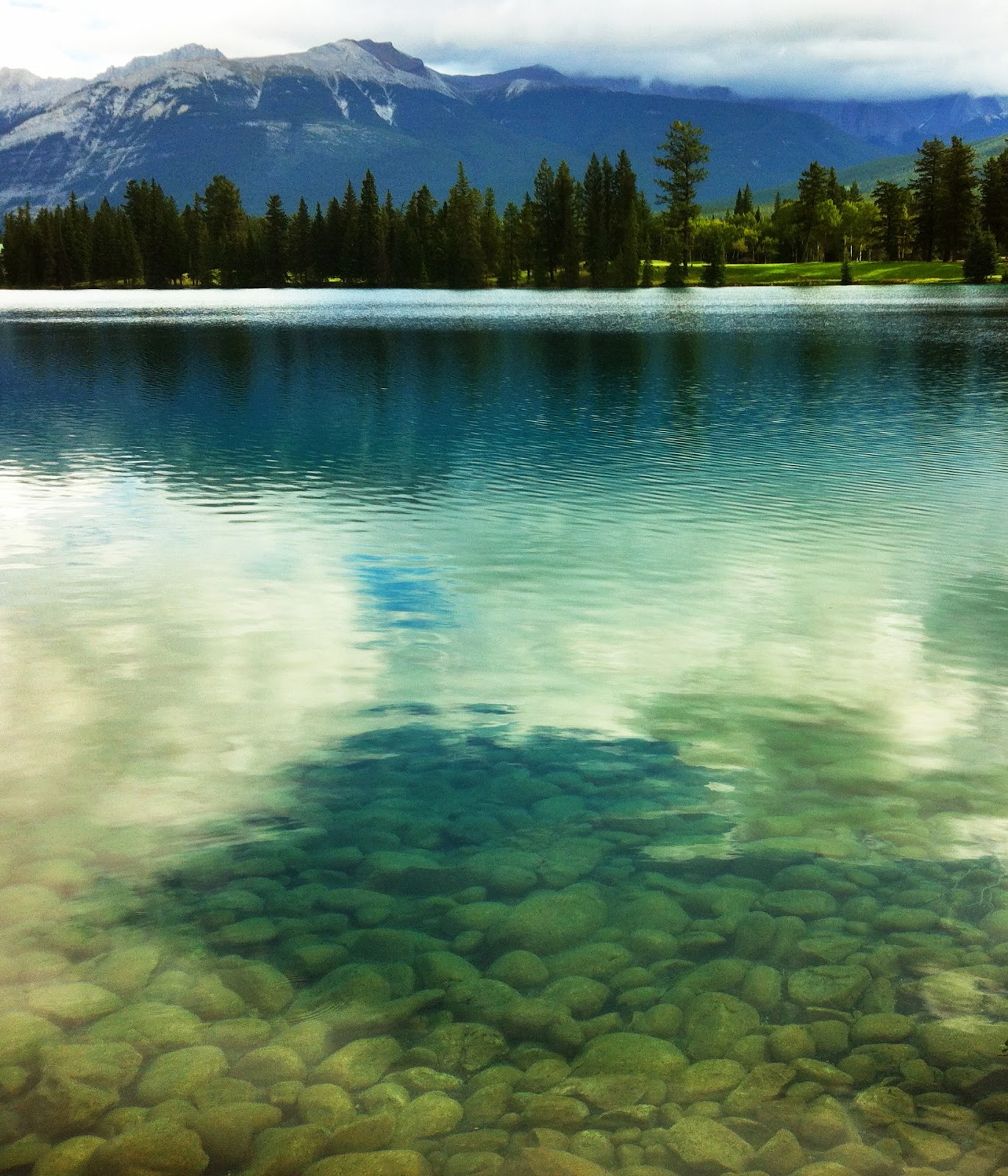 Judith Altman Designs