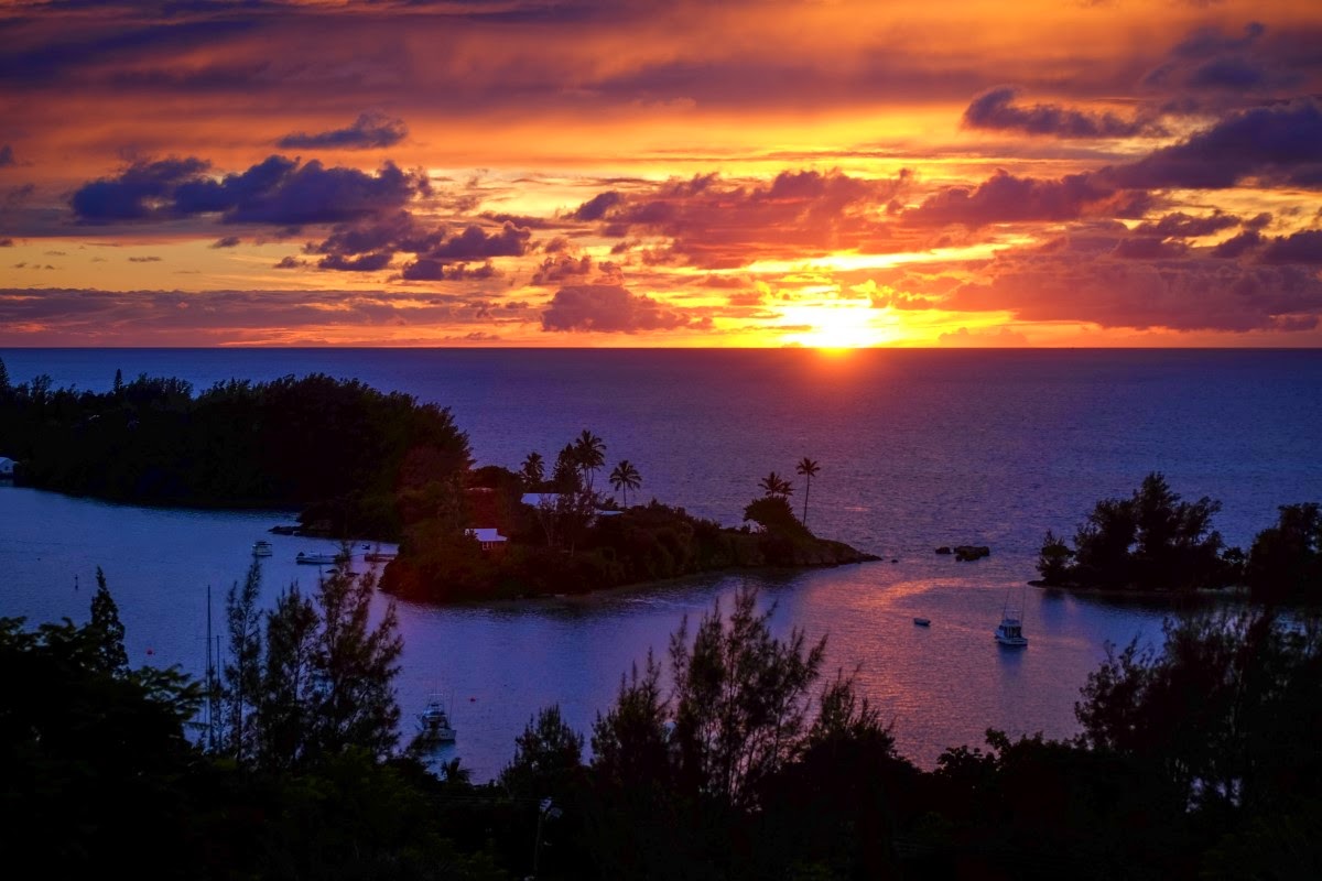 The Canadian Loon: A Bermuda Sunset